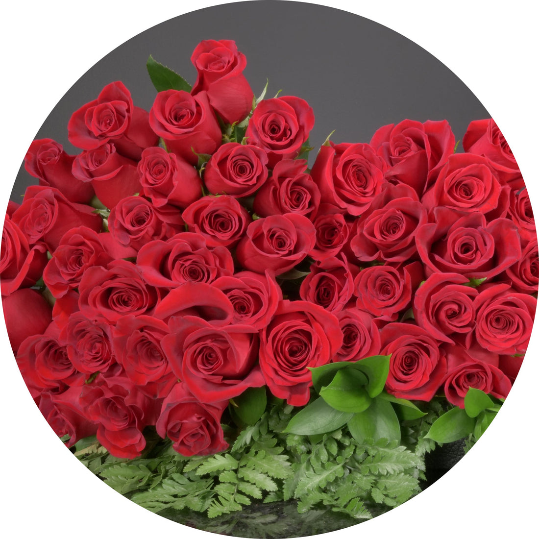MyRoses - Custom Roses – Langdon's Inc.
